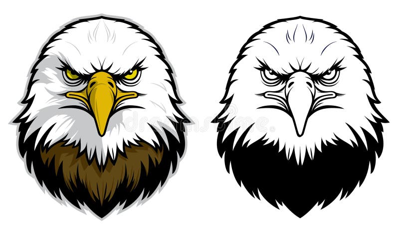 Eagle Head Front View stock illustration. Illustration of falcon ...