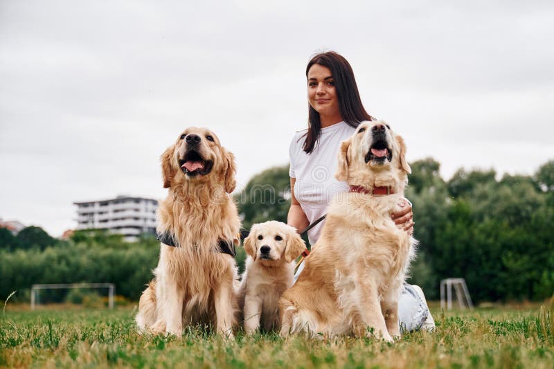 Front View. Woman with Beautiful Dogs are in the Field Outdoors Stock ...