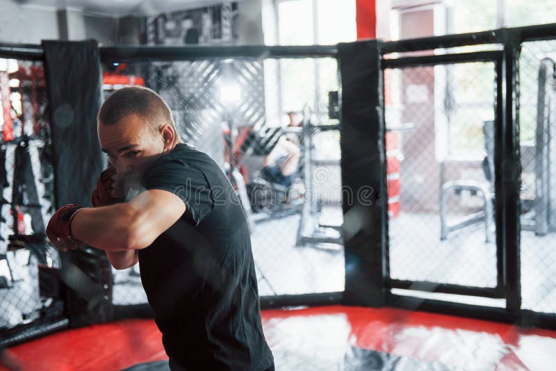 Front View. Young Boxer in Red Bandages Have Exercise Stock Photo ...