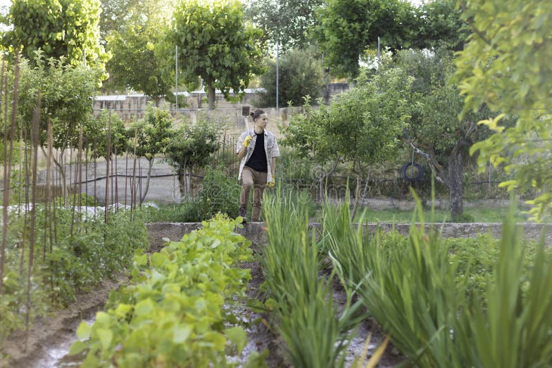 Front View of Young Farmer Man with a Hoe and with a Fresh Orchard ...