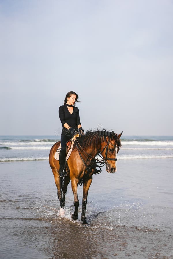 Side View of Young Female Equestrian Riding Horse on Sandy Stock Photo ...