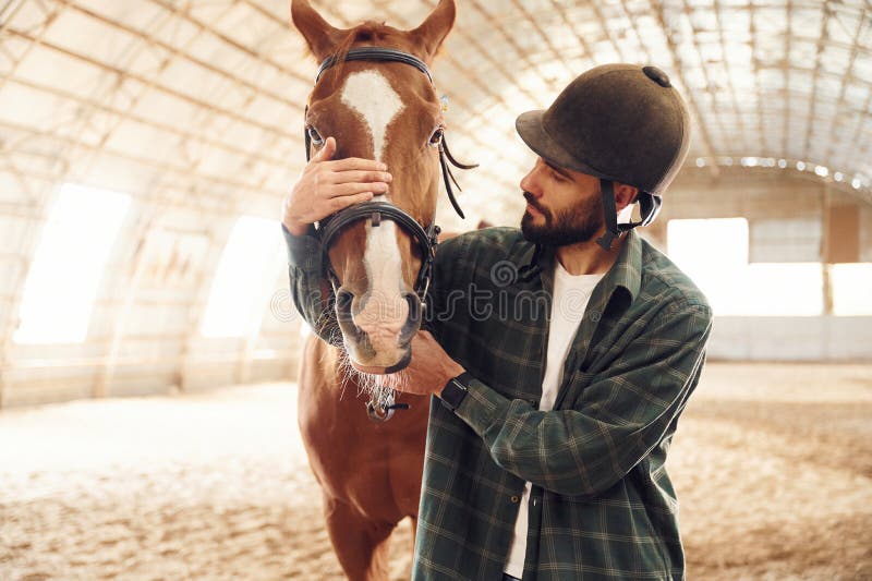 Front View. Young Man with a Horse is in the Hangar Stock Image - Image ...