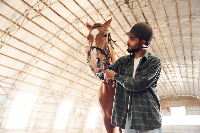 Front View. Young Man with a Horse is in the Hangar Stock Photo - Image ...