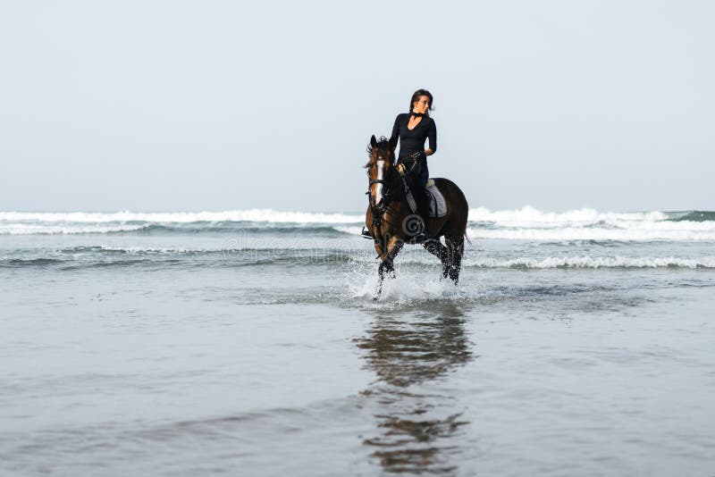 Side View of Young Female Equestrian Riding Horse on Sandy Stock Photo ...
