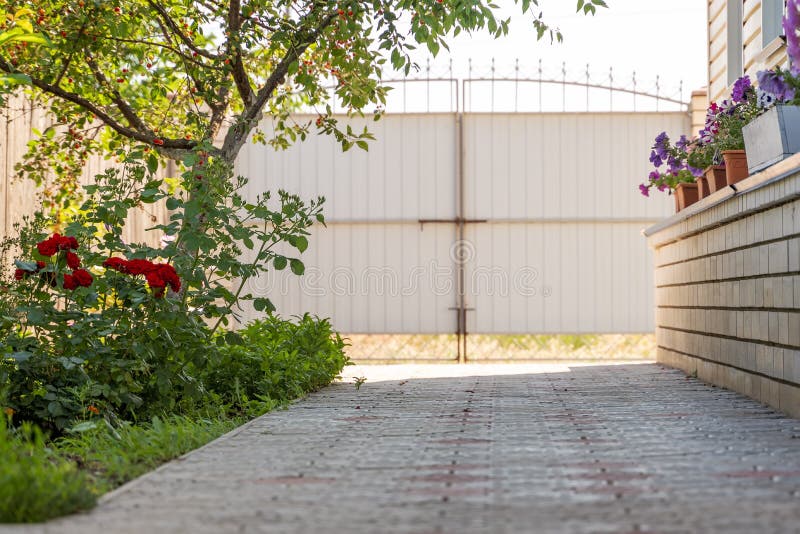 Front Yard on Residential Home with Tile Path, Flowers and Cherry Tree ...