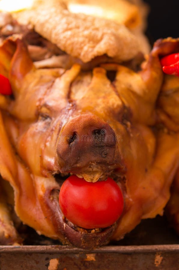 Frontal Face of Roasted Pig, Tomatoe Inside Mouth and Teeth Exposed ...