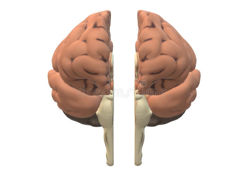 Frontal View of House on Bluep Stock Illustration - Illustration of ...