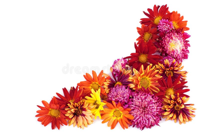 Frontera de los asteres. imagen de archivo. Imagen de fondo - 20655589