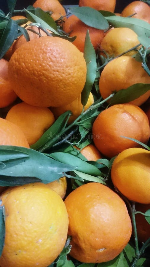 Froot stock foto. Image of sinaasappel, leven - 108985318