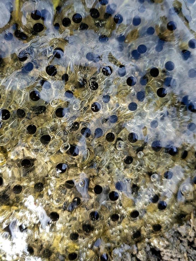 {Nummer} {Stichwort} Stock Fotos - Freie & Royalty-Free Stock Fotos von ...