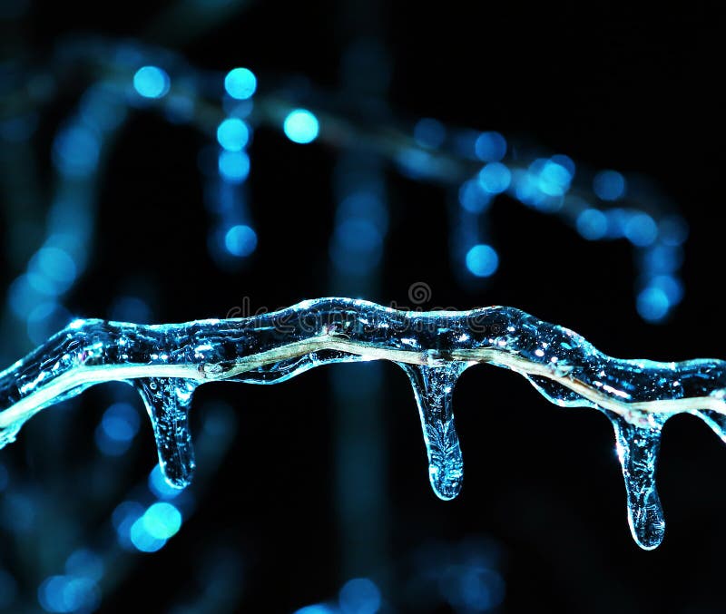 Frosen Icicles on Tree Branches Night Sceen Stock Image - Image of ...