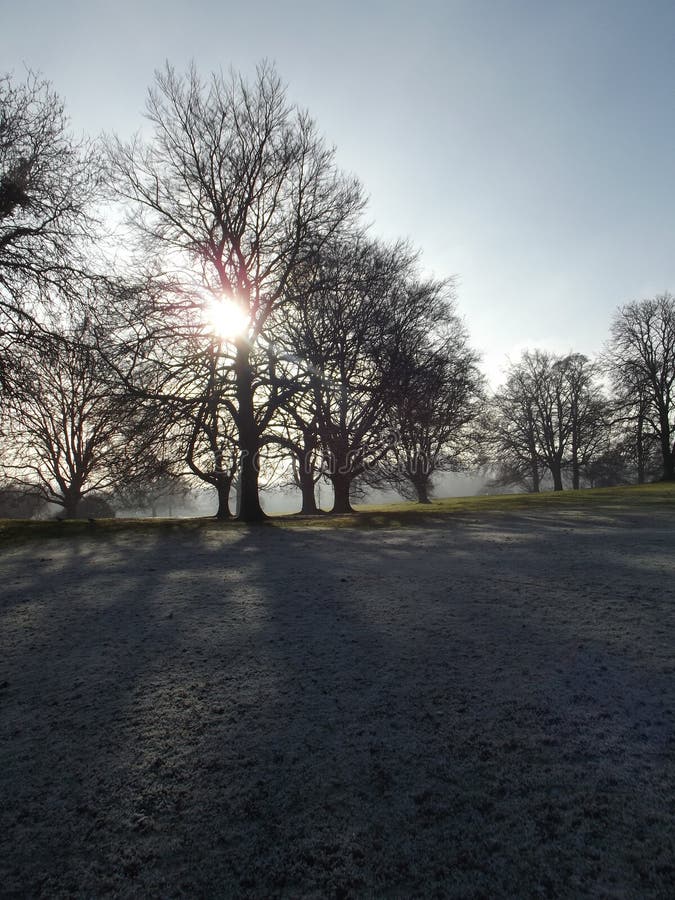 Cold Sun on a Cold Day stock image. Image of trees, dusk - 154705563