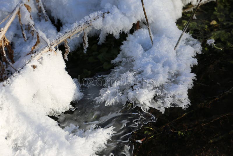 Frost in cold water. stock image. Image of water, fresh - 207075035