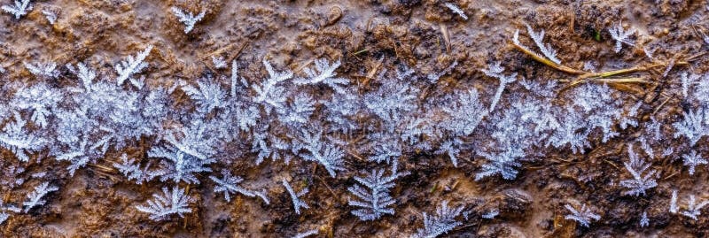 Frost-covered Ground with Intricate Ice Crystal Patterns Reflecting ...