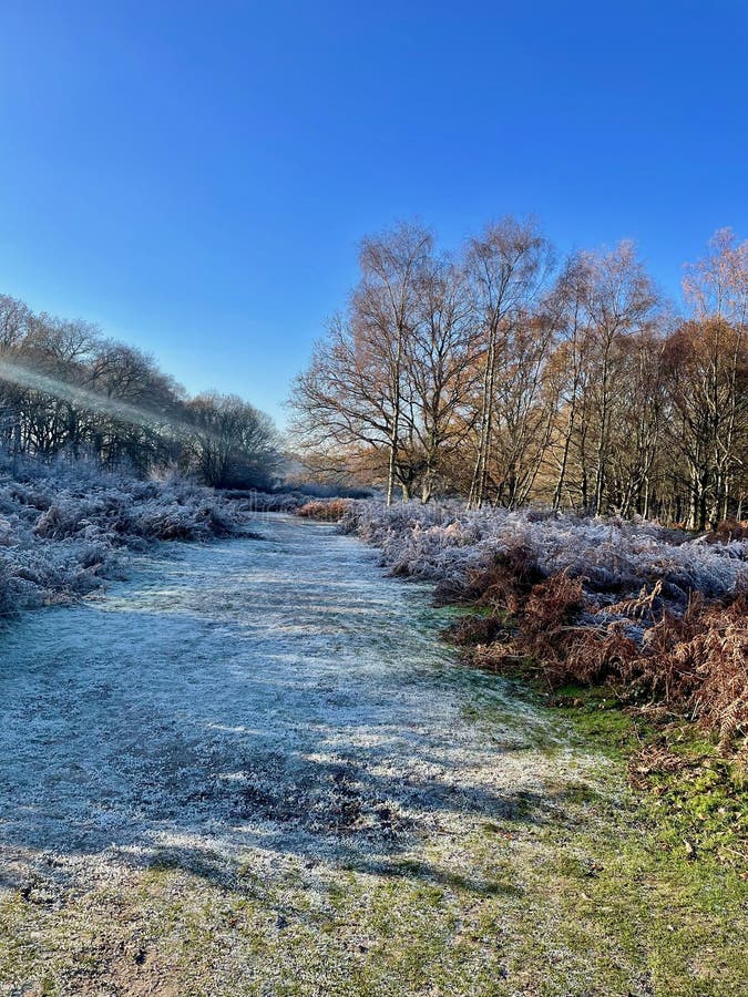 Frost Covered Ground on Winters Day Stock Photo - Image of landscape ...