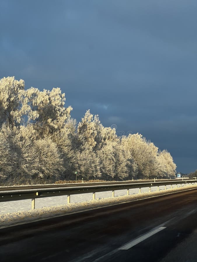 Ice Covered Trees. Winter Road in Lithuania Stock Photo - Image of ...