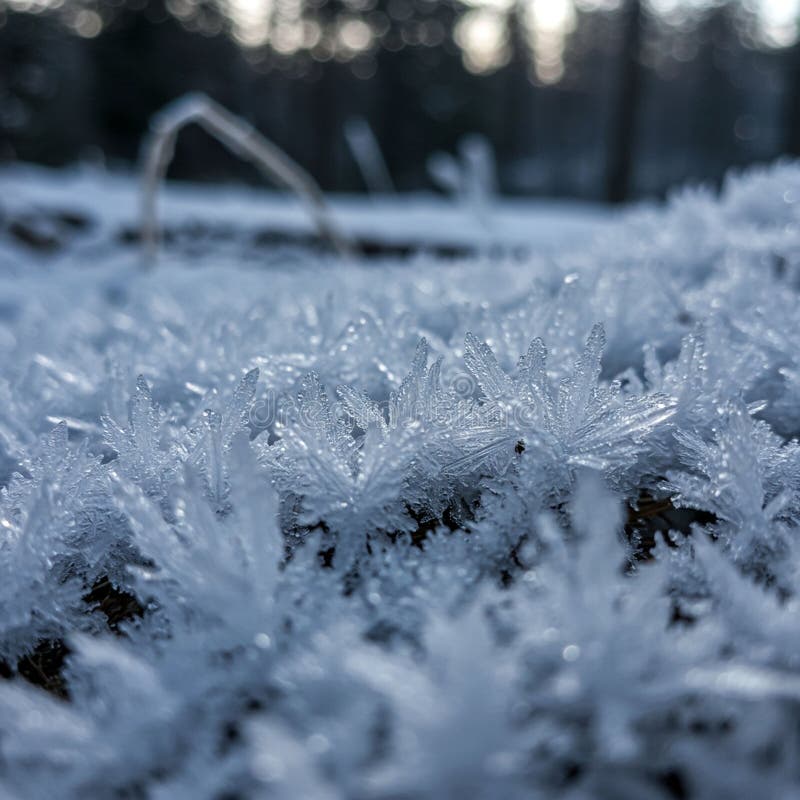 Frost Crystals Cover a Surface, Creating Intricate, Jagged Shapes. the ...
