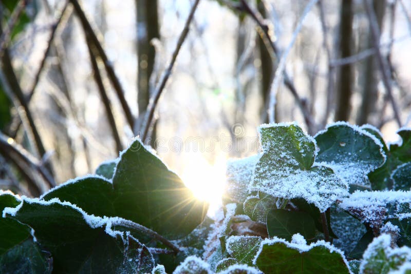 Frost day stock photo. Image of sunlight, outside, famous - 91224502