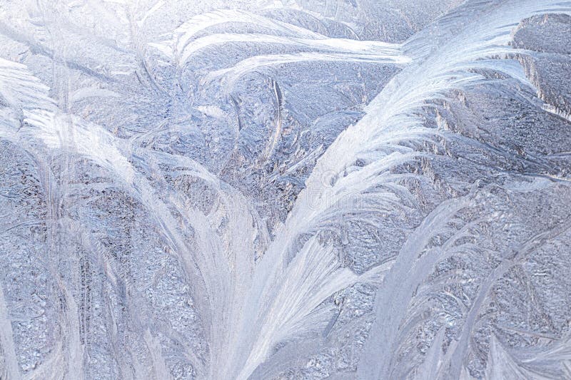 Intricate Frosted Ice Patterns Captured on a Cold Winter Window Surface ...