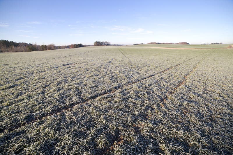 Frost in field. stock image. Image of grass, terrain - 21986463