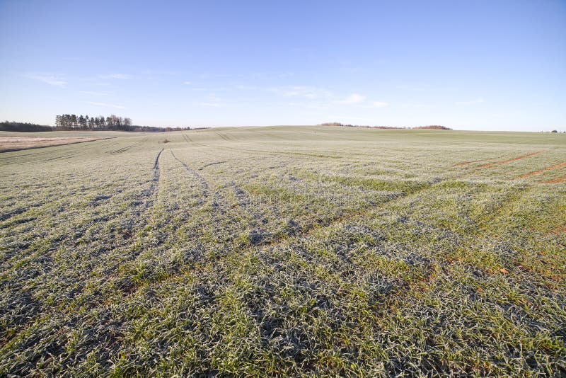 Frost in field. stock image. Image of grass, terrain - 21986463