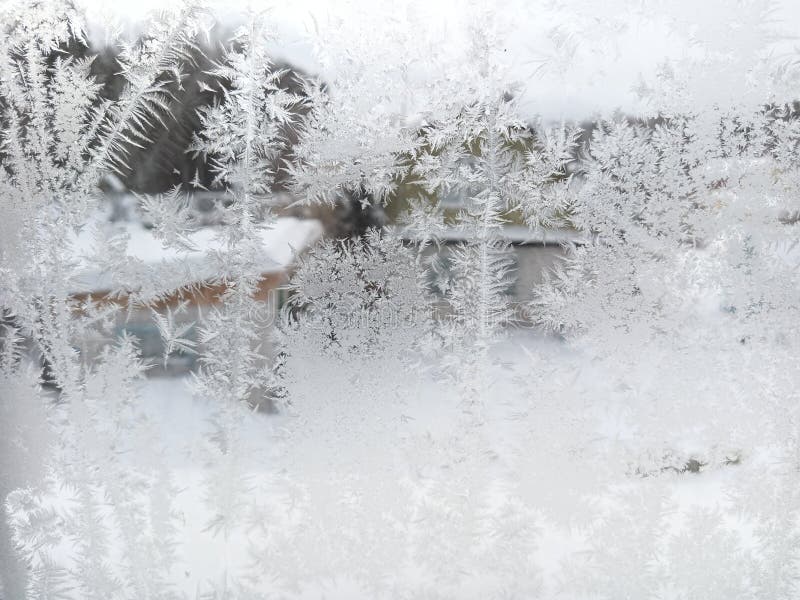 Frost Flowers from the Ice Crystals on the Glass of the Window. Frost ...