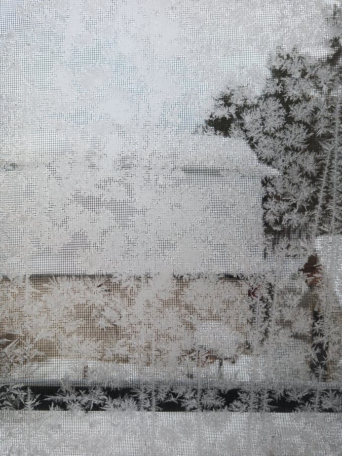 Frost Flowers from the Ice Crystals on the Glass of the Window. Frost ...