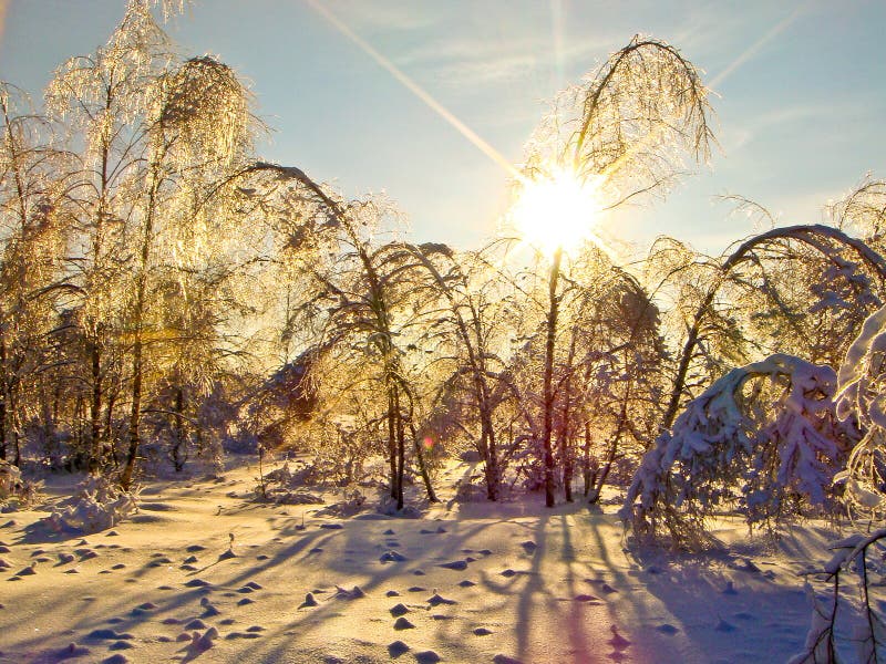 Frost after freezing rain stock image. Image of trails - 41183685