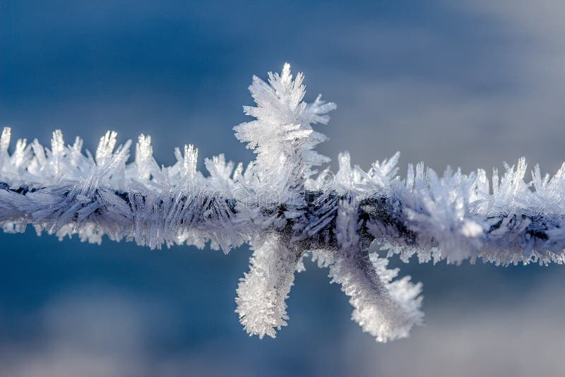 Frost, Freezing, Winter, Sky Stock Photo - Image of frost, snow: 95829006