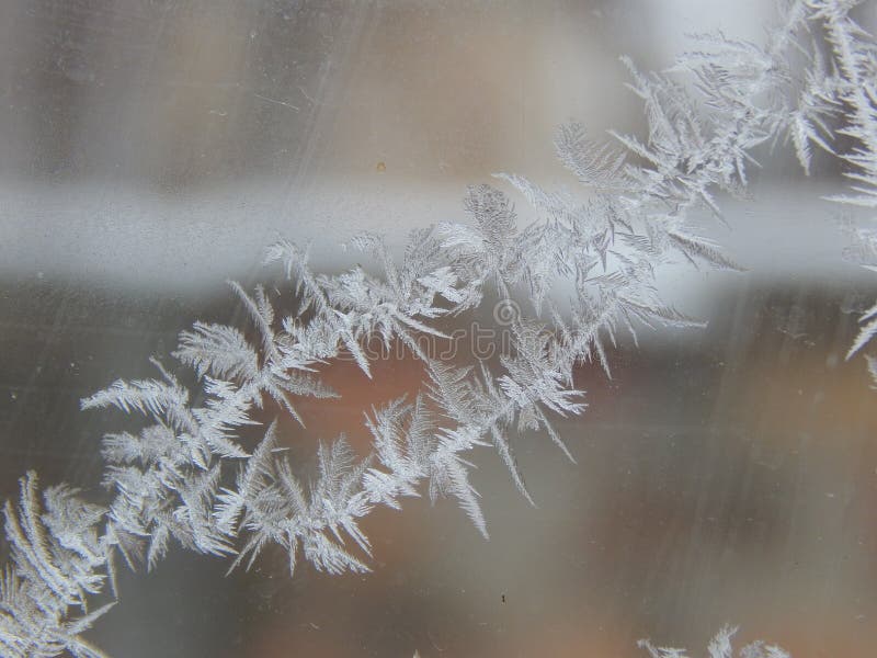 Frost stock image. Image of winter, white, details, nature - 99142147
