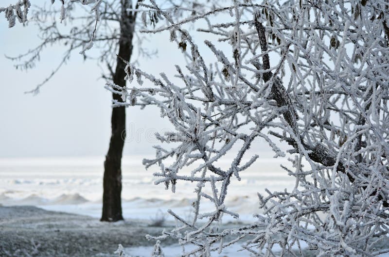 Frost. stock photo. Image of white, outdoors, nature - 37869266