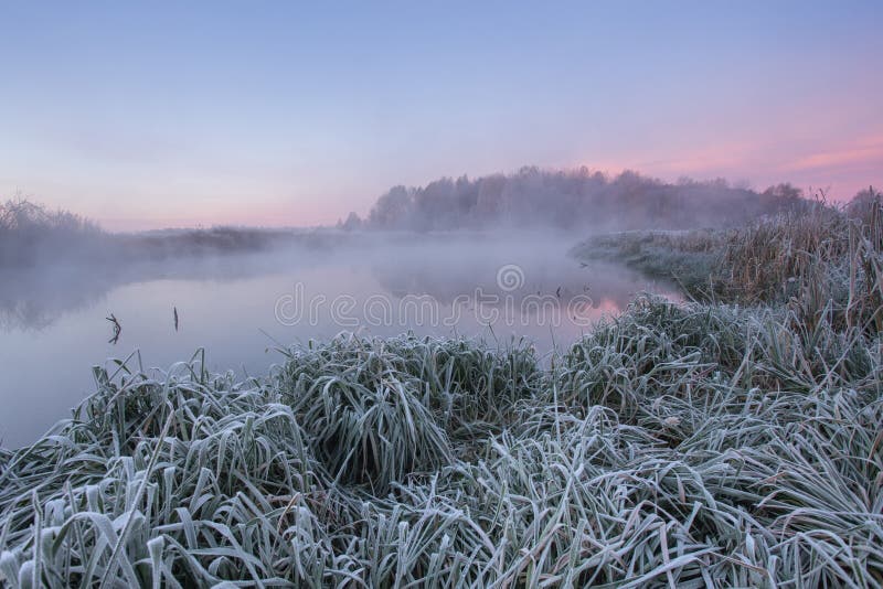Frost on Grass in Cold Autumn Morning Stock Image - Image of morning ...