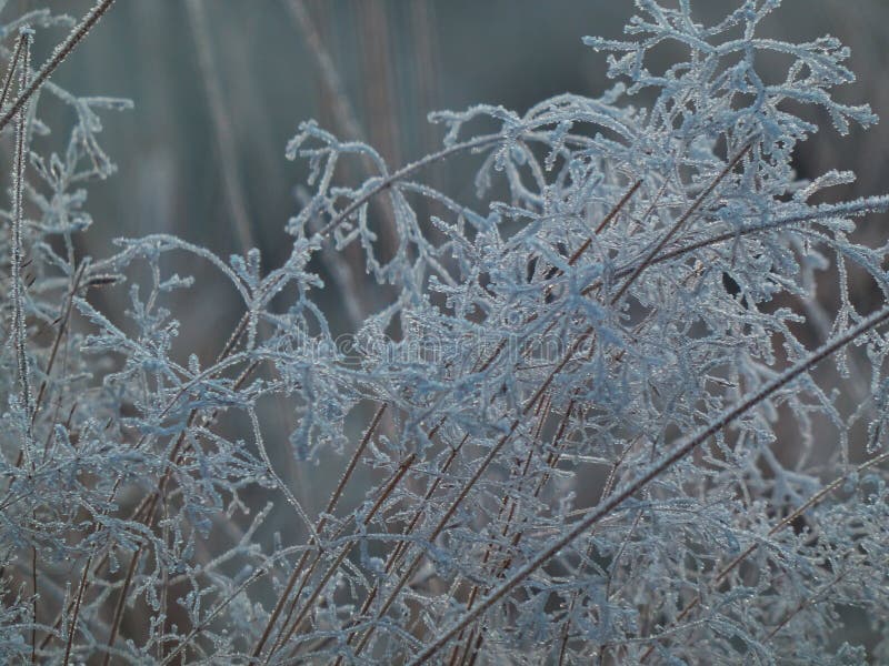 Frost on the Grass during the First Autumn Ground Frost Stock Image ...
