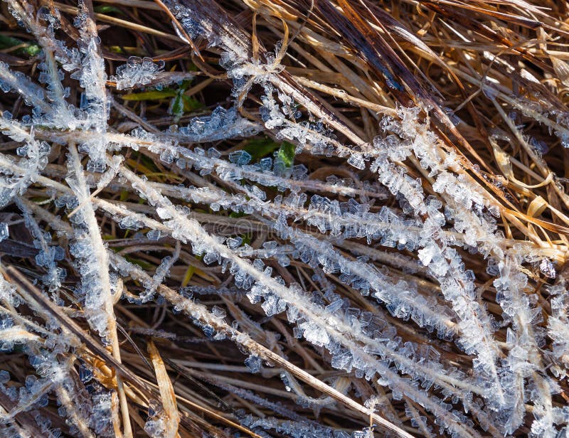 Frost on the ground stock image. Image of ground, closeup - 16483653