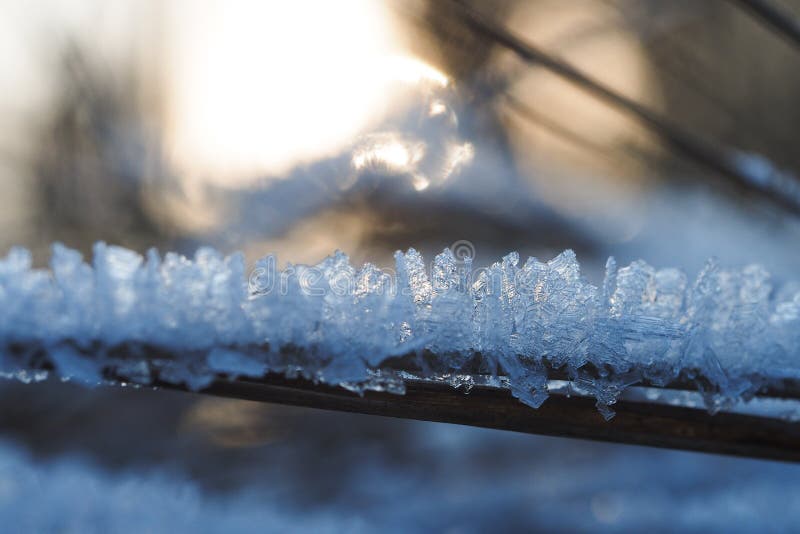 Frost, Icing on Branches and Grass. Change of Weather, Cold Snap ...