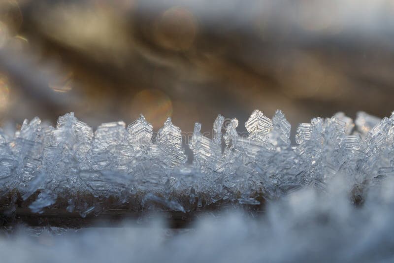 Frost, Icing on Branches and Grass. Change of Weather, Cold Snap ...