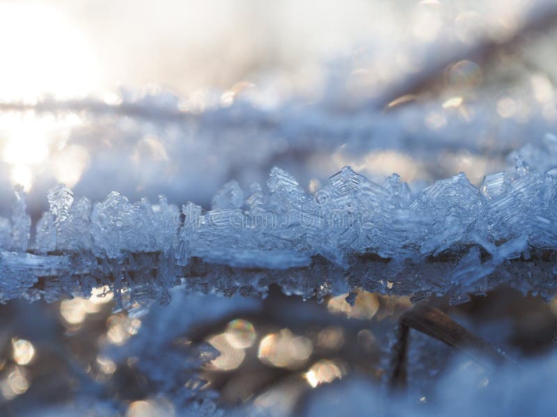 Frost, Icing on Branches and Grass. Change of Weather, Cold Snap ...