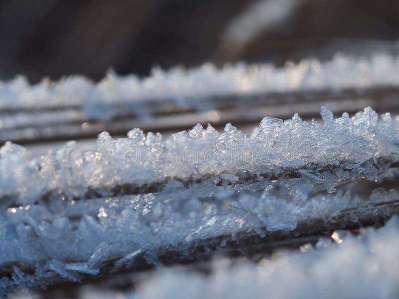 Frost, Icing on Branches and Grass. Change of Weather, Cold Snap ...