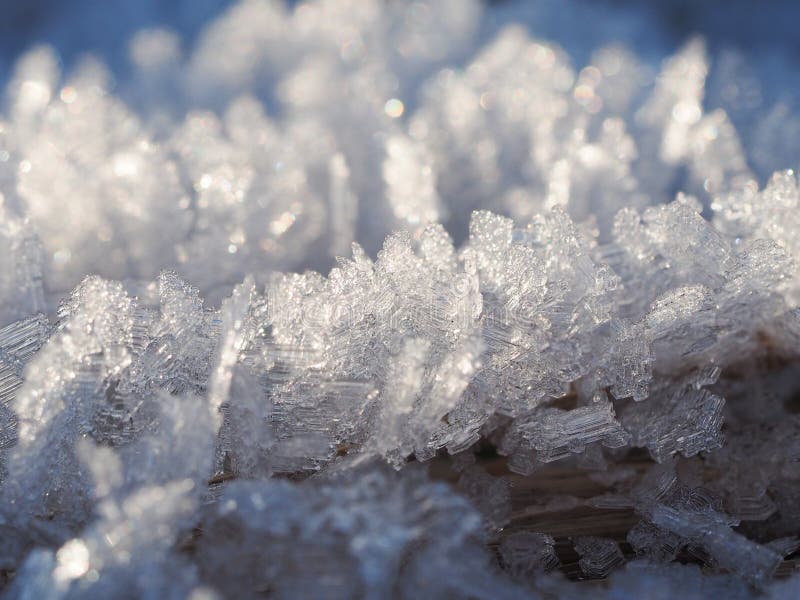 Frost, Icing on Branches and Grass. Change of Weather, Cold Snap ...