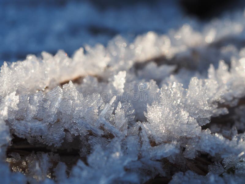 Frost, Icing on Branches and Grass. Change of Weather, Cold Snap ...
