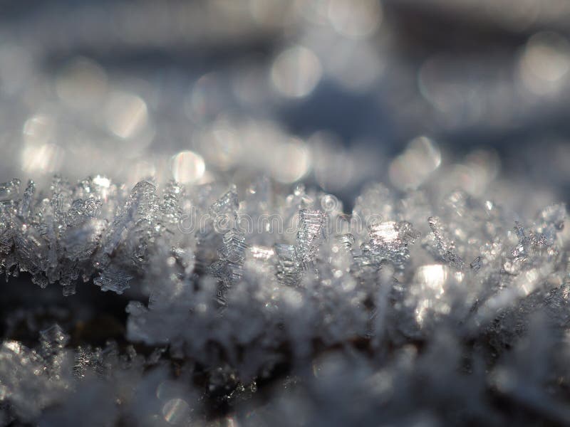 Frost, Icing on Branches and Grass. Change of Weather, Cold Snap ...