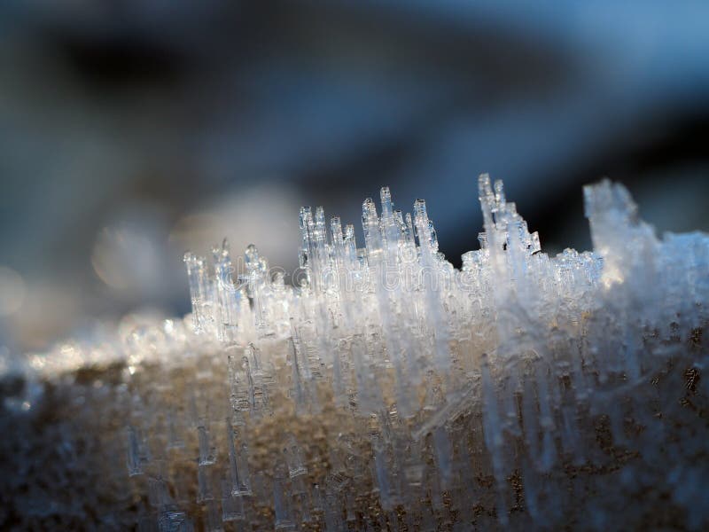 Frost, Icing on Branches and Grass. Change of Weather, Cold Snap ...