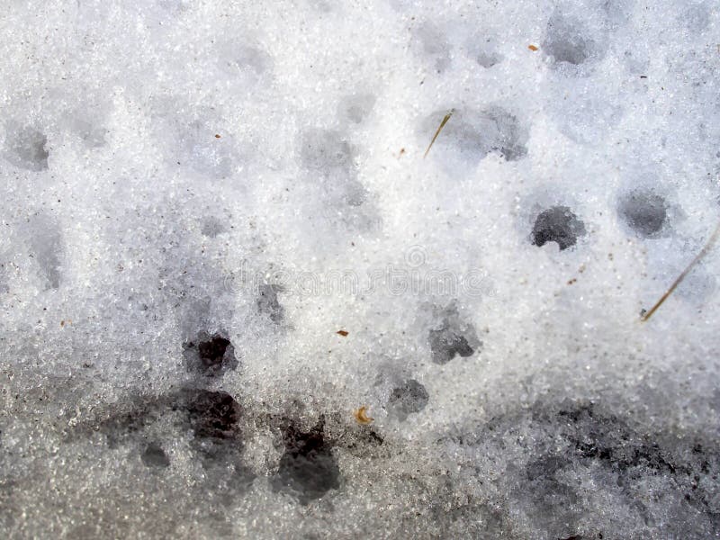 Frost Icy Snow Texture Background Stock Image - Image of snowflakes ...