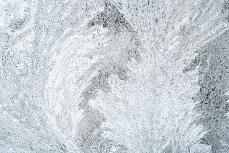 Frost leafy looks stock image. Image of back, windows - 50607023