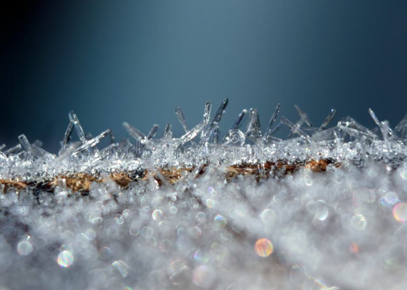 Frost macro close up stock photo. Image of abstract - 105580092