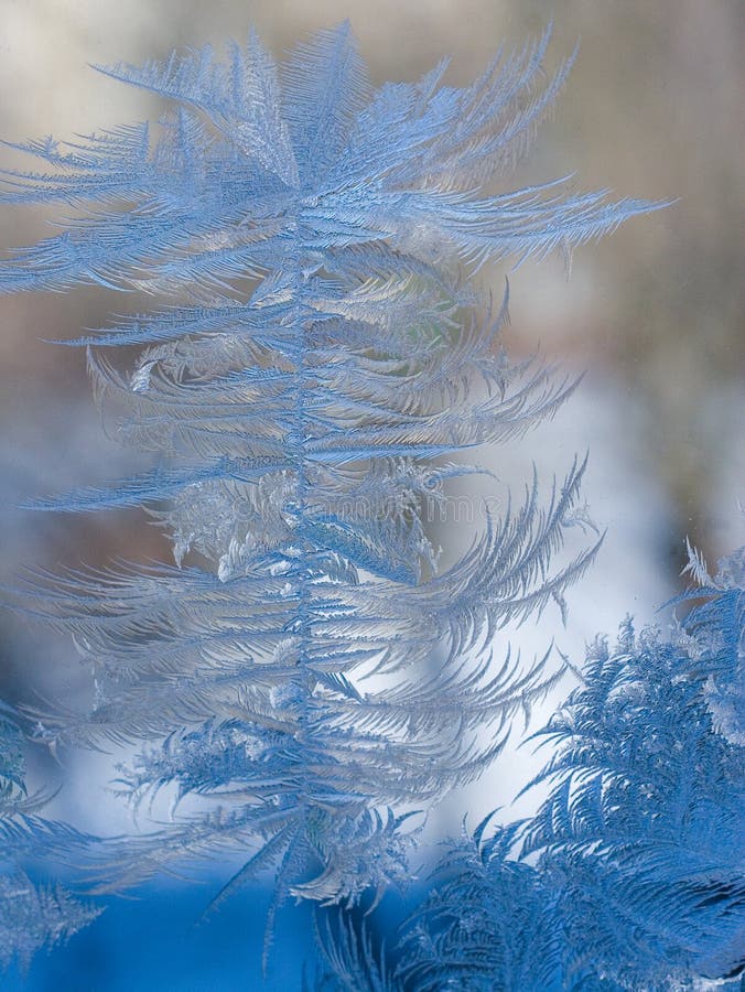 Frost Pattern on a Window Glass Stock Photo - Image of frostwork ...