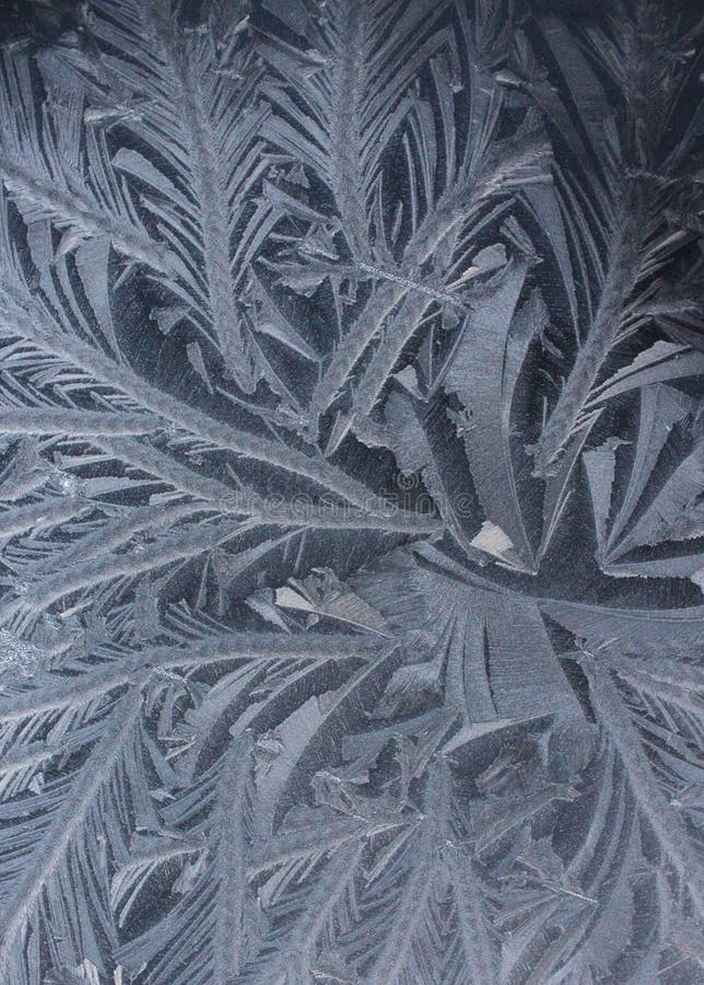 Frost Pattern of Lear/Fern on Black Paint Stock Image - Image of inside ...