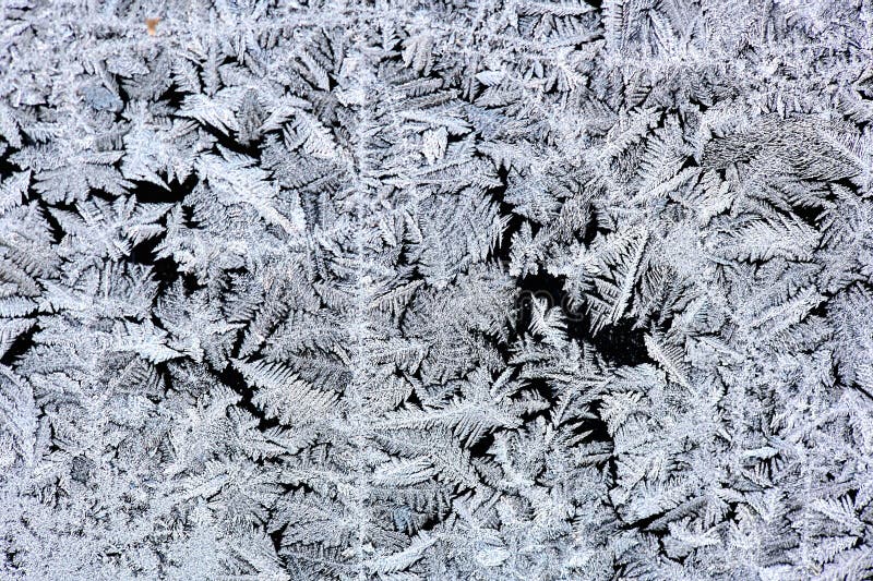 Frost Pattern on a Window, Montana. Stock Photo - Image of pattern ...