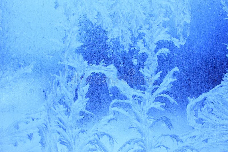 Frost pattern stock image. Image of flower, window, patterns - 75583743