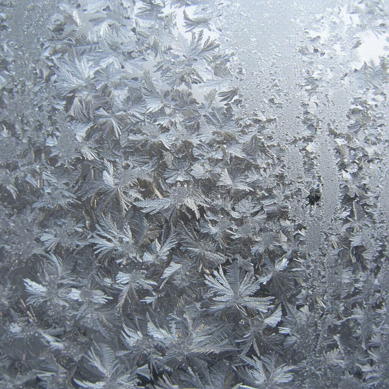 Frost Patterns Form Intricate Designs on a Window, Resembling Delicate ...